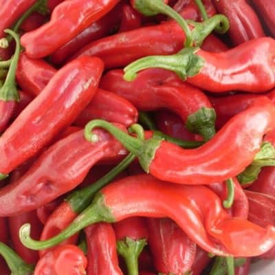 Organic Vegetable Seeds - Adaptive Seeds