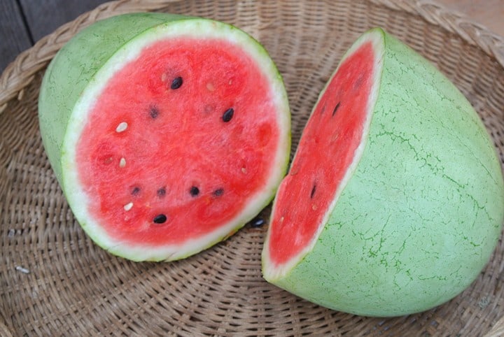 Light Green Watermelon