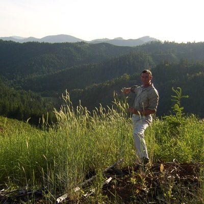 Tim Peters - Adaptive Seeds