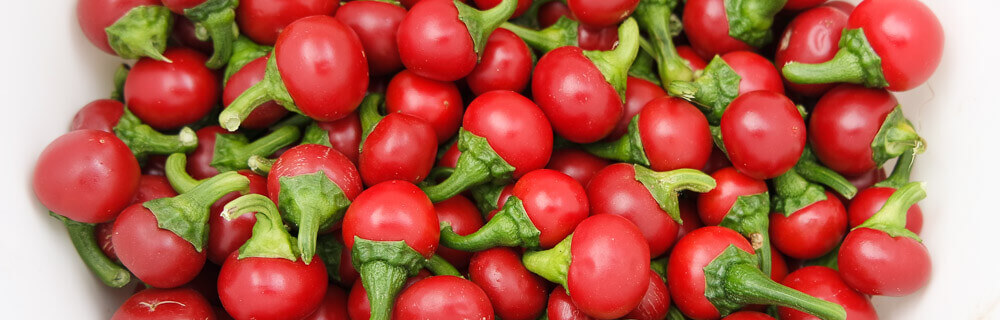 Adaptive Seeds - Pacific Northwest grown, open pollinated, and organic ...