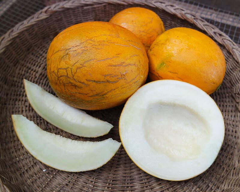 Melon, Kazakh (Organic) - Adaptive Seeds