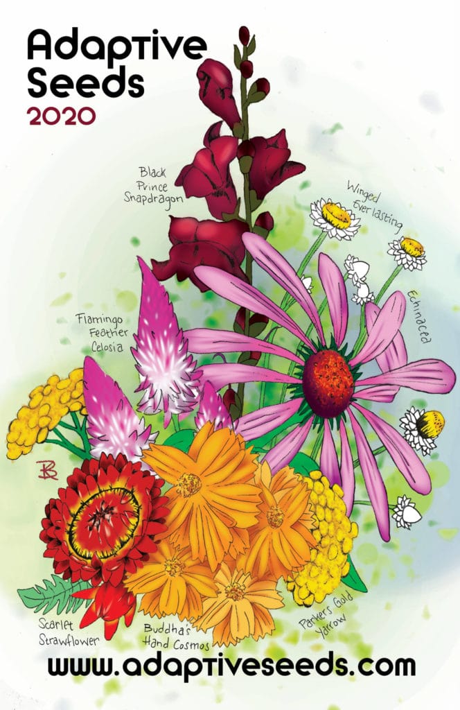 Contact Us - Adaptive Seeds